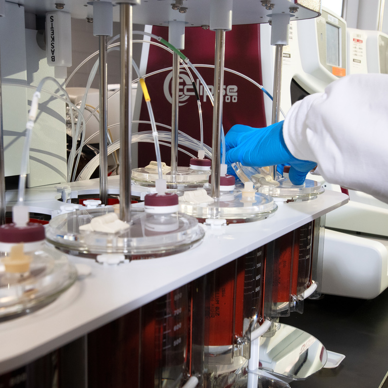 UI Pharmaceuticals | The University of Iowa